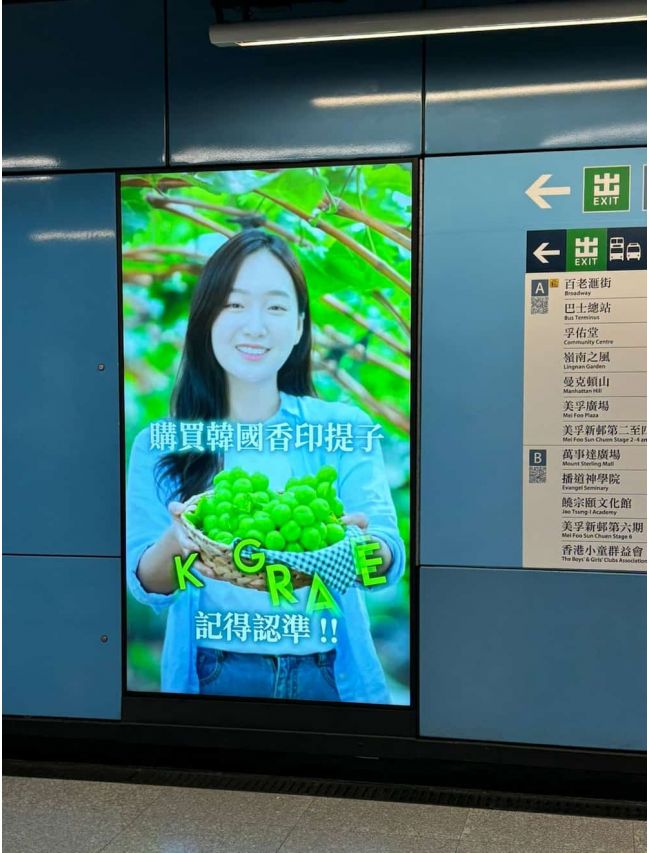 MTR Advertising - Digital Portrait Panels