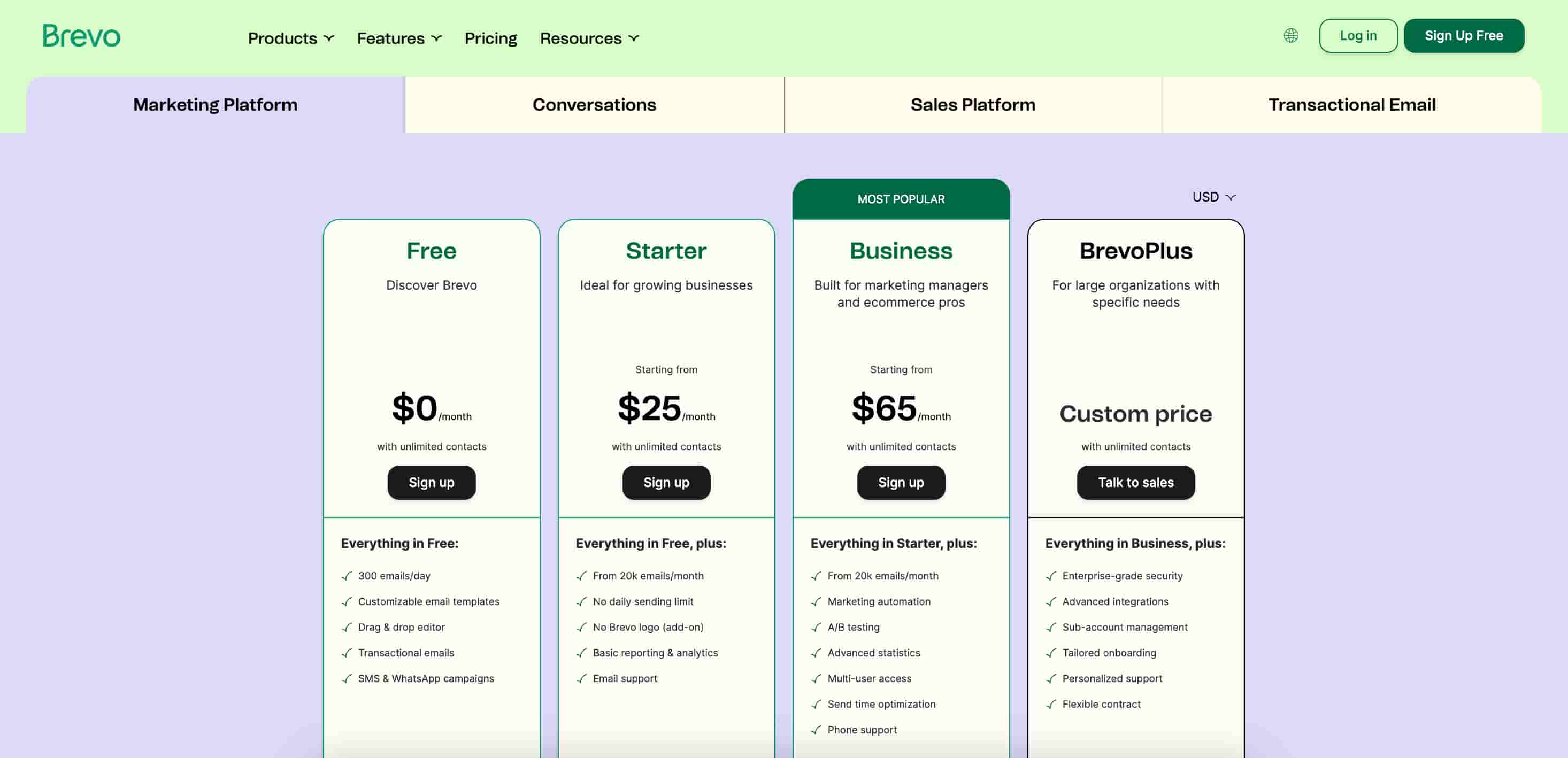 Online Advertising Guide: What You Need to Know in 2024