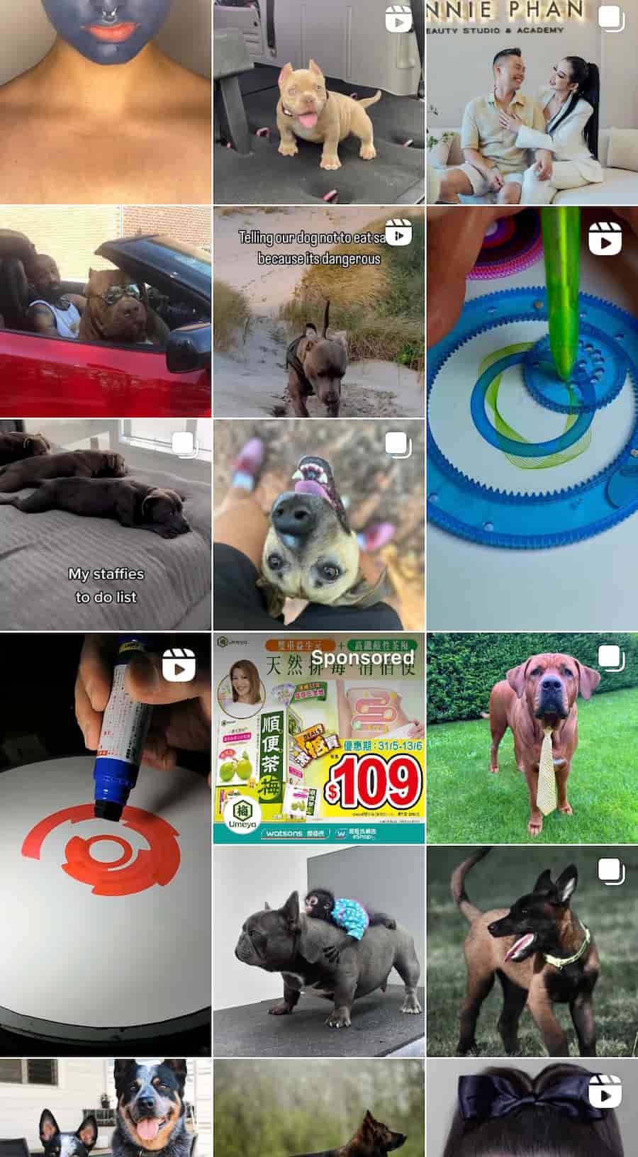 Instagram Ad Cost in 2025